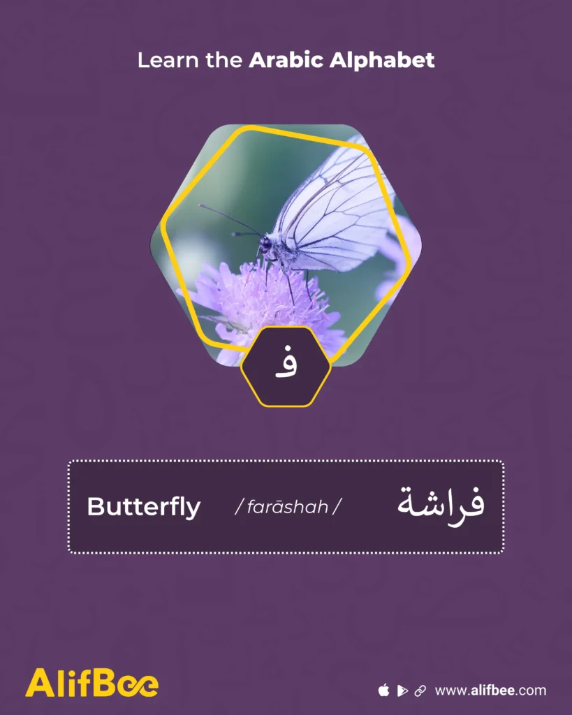 Learn the Arabic Alphabet: The letter ف /Faa’/ | Alifbee Blog