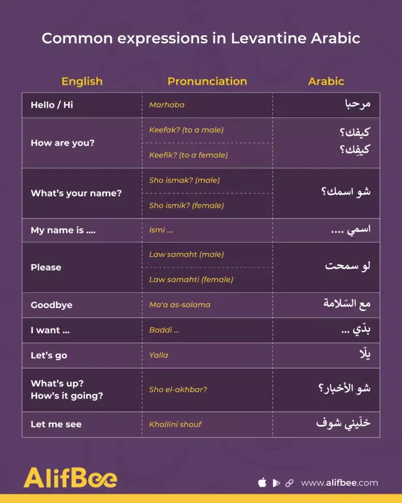 Levantine Arabic or MSA? A Guide for Arabic Learners to Choose the ...