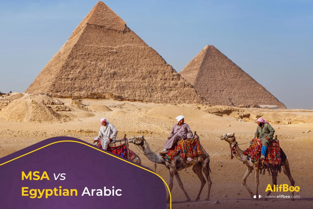 Learn Modern Standard Arabic and Egyptian Arabic: Key Differences