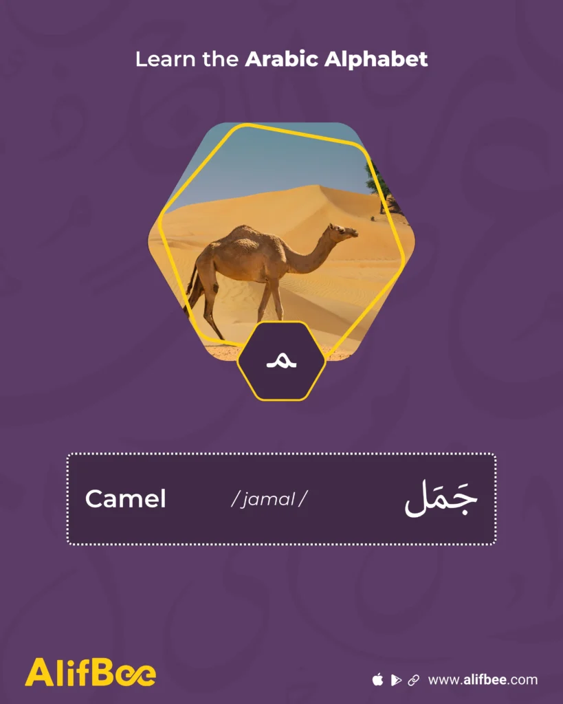 Master the Arabic Letter Meem (م): Master its Pronunciation and Forms