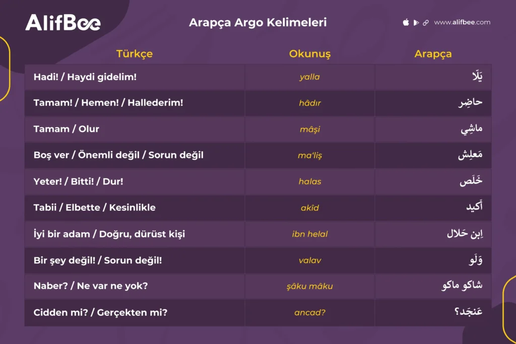 En Yaygın 10 Arapça Argo Kelime ve İfade | Alifbee Blog