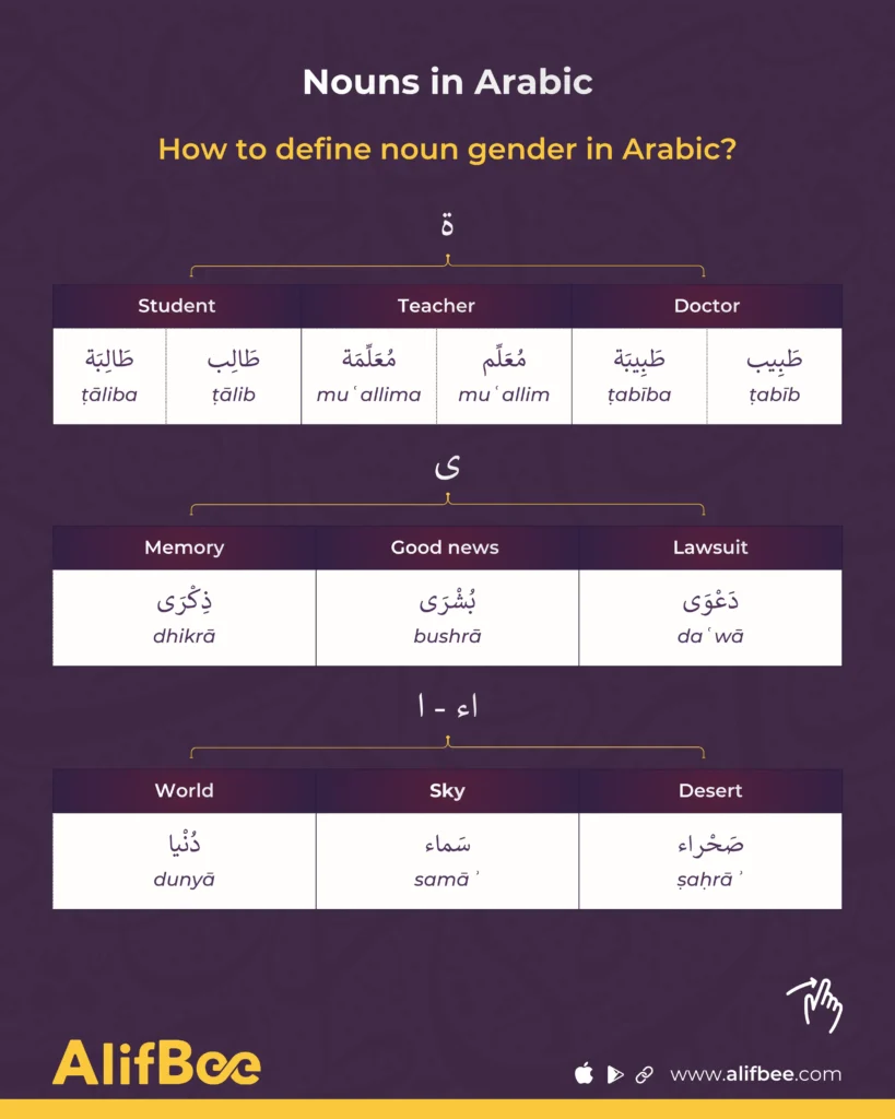 Nouns in Arabic: Gender, Number, Types and Examples