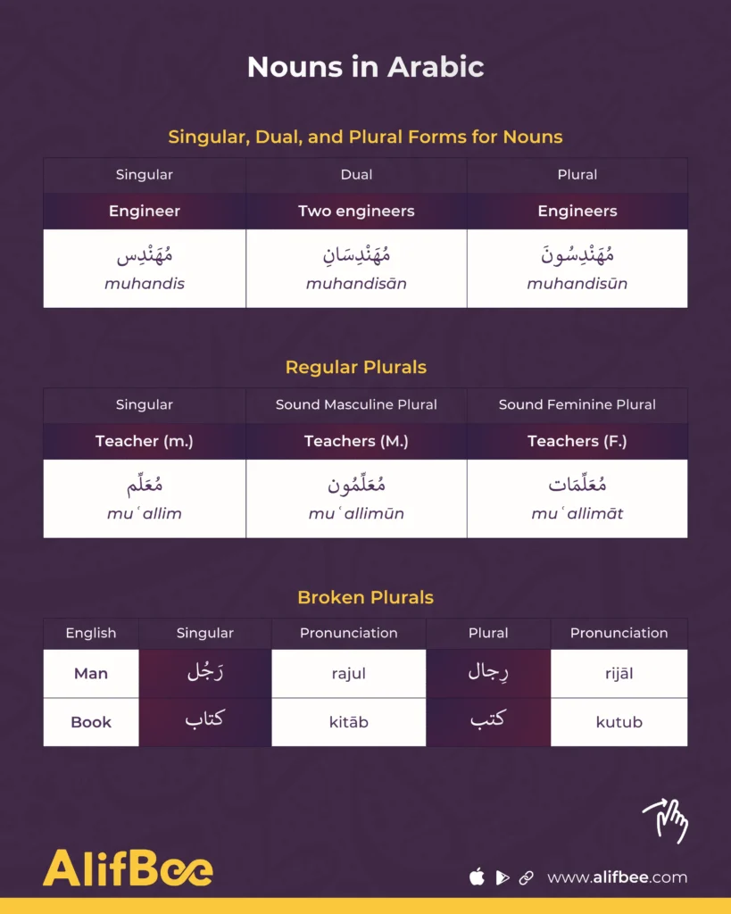 Nouns in Arabic: Gender, Number, Types and Examples