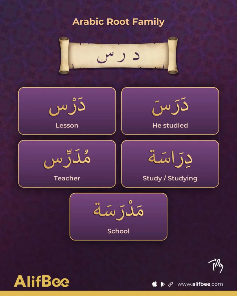 Arabic Root System: How Arabic Words Are Built from Root Letters