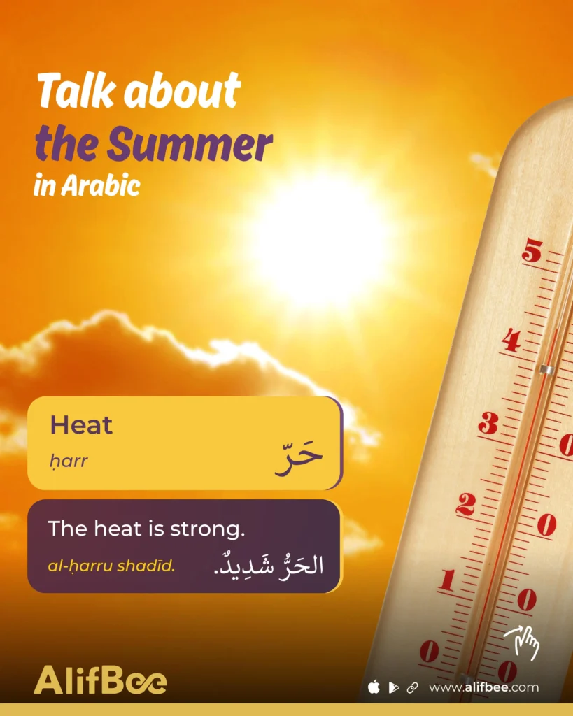 Summer Vocabulary in Arabic: 20 Useful Words for Beginners | AlifBee